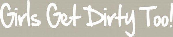 GGDT Windshield Sticker 6.5" x 38" – OFF-ROAD VIXENS CLOTHING CO.